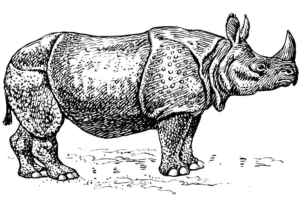 Java: using embedded Rhino JavaScript engine Java: using embedded Rhino JavaScript engine